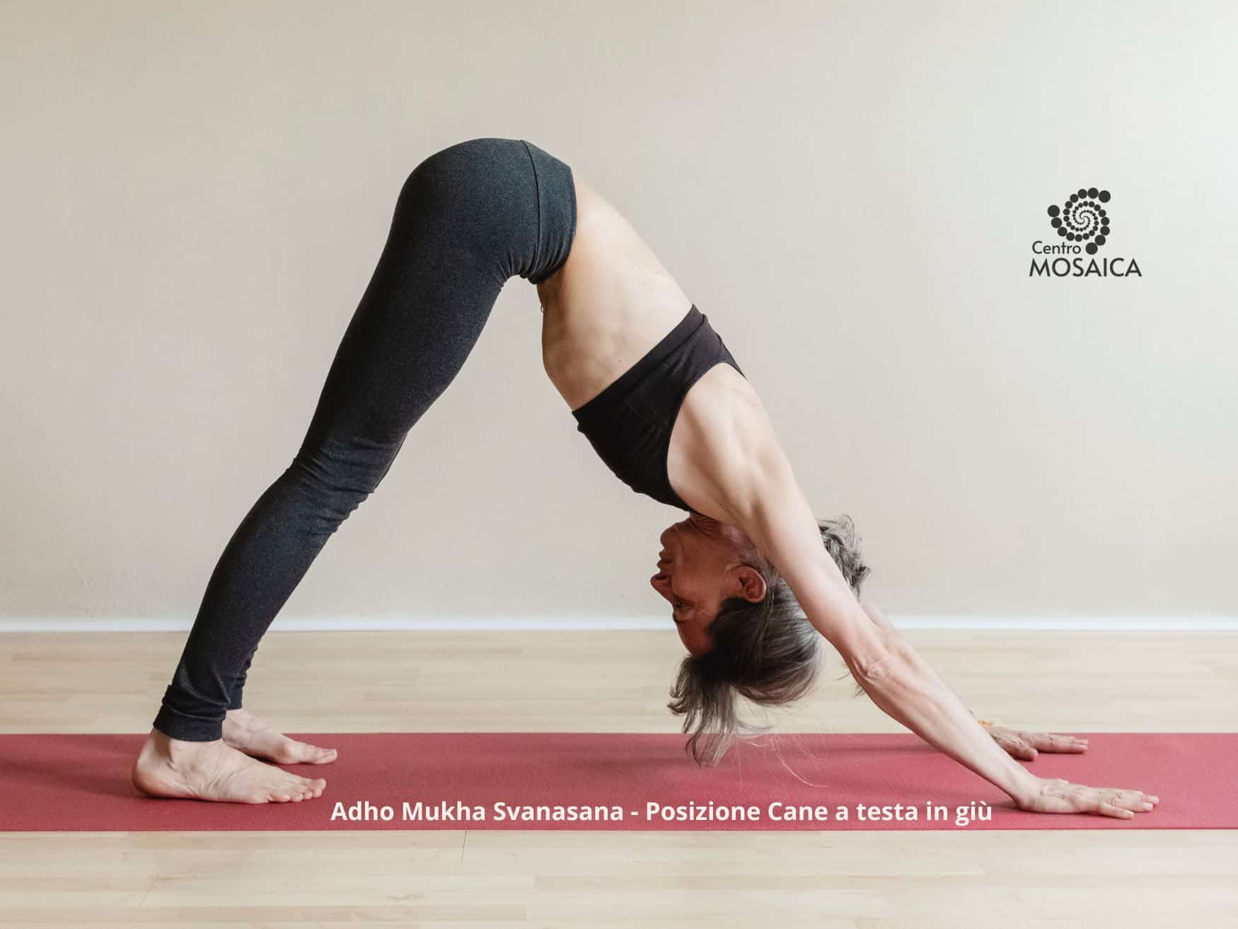 Surya Namaskar: la guida al saluto al sole yoga e le 12 posizioni